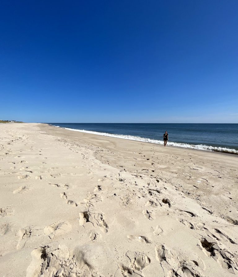 Long-Island-Tipps für Anfänger - Kind am Tellerrand